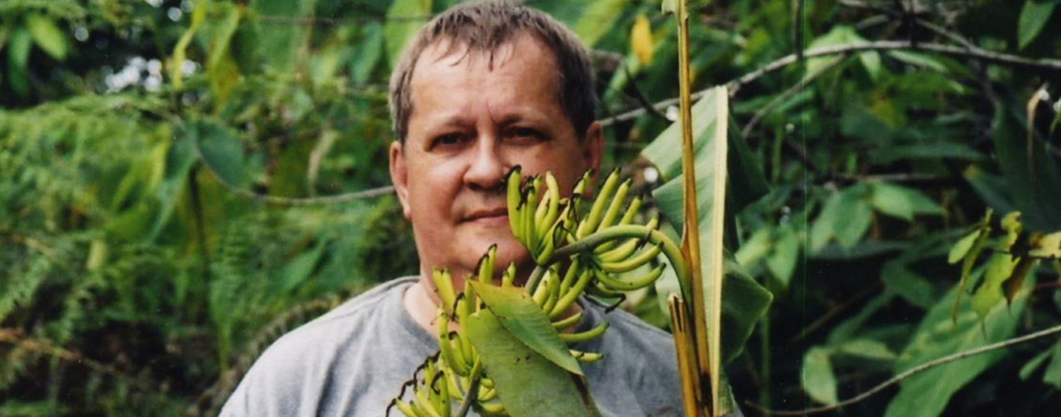 Banana Information – Hawaiʻi Banana Source